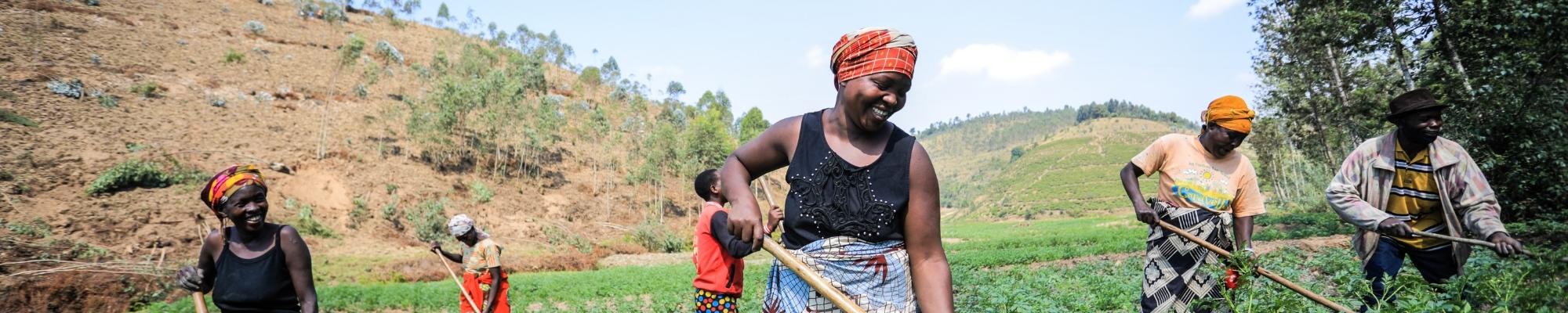 Participez au soutien des paysans rwandais ! - Dons - Frères des Hommes