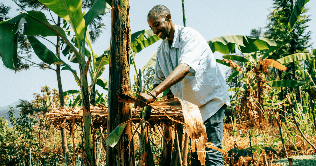 [Rwanda] Duhamic-Adri (Association pour le développement rural intégré ...
